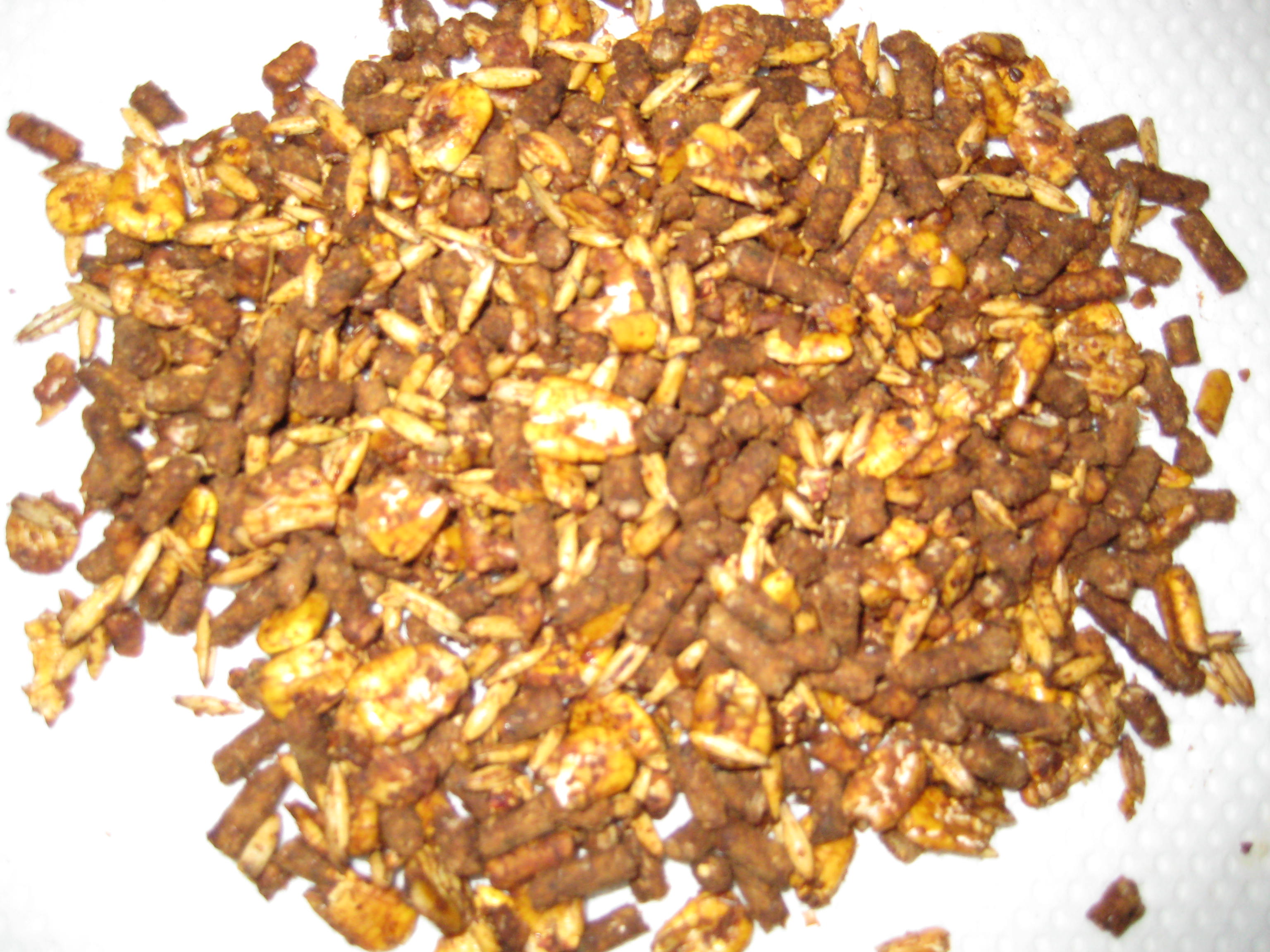 Calf & Heifer Feeds | White Oak Mills